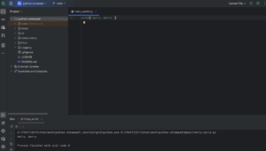 Python Code Execution | Outshine Labs